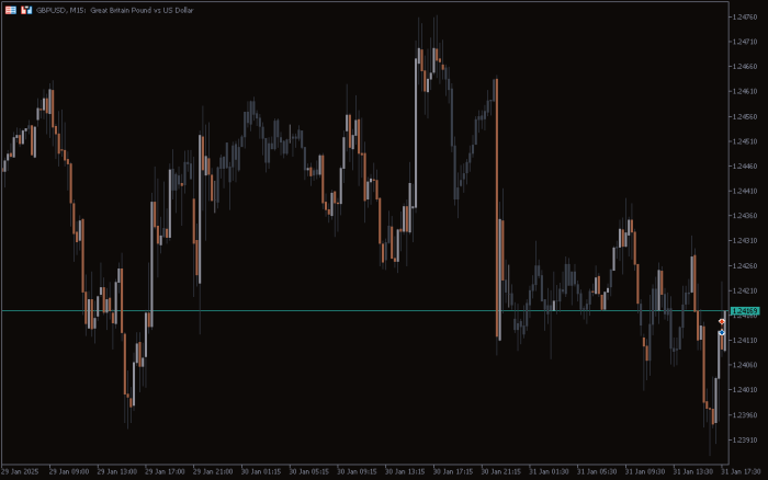 Chart Overlay Indicator - intradaysoft.com