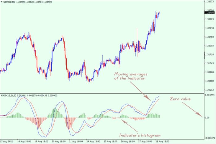 MACD 2 Line Indicator - intradaysoft.com