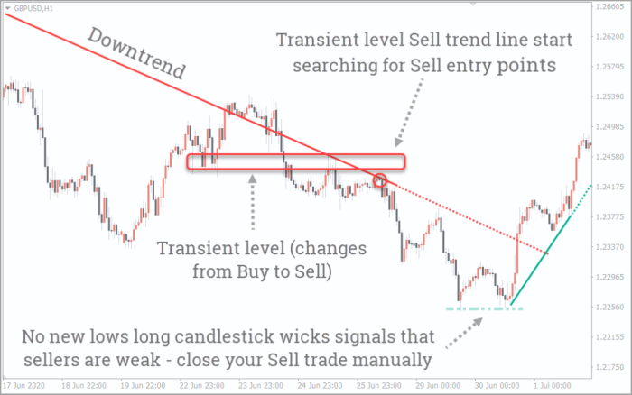 Auto TrendLine Indicator - intradaysoft.com
